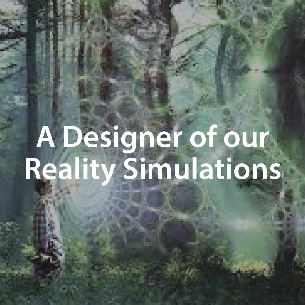 Suzanne Spooner QHHT Sessions: A Designer of our Reality Simulations