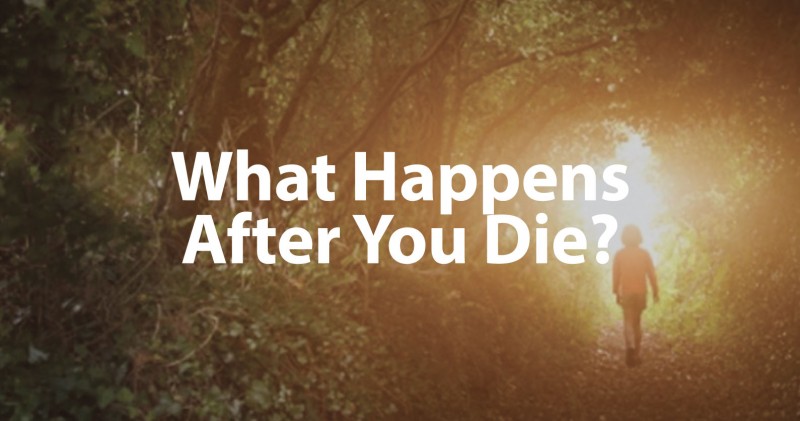 Dolores Cannon Explains Life After Death