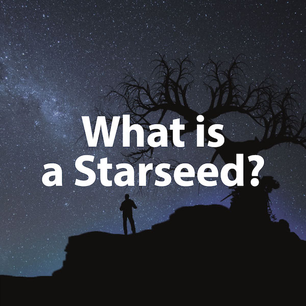 What Is A Starseed? {Different Starseed Types & Traits}