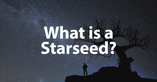What Is A Starseed? {Different Starseed Types & Traits}