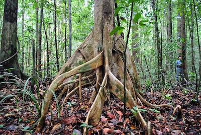 Root Chakra Healing: How to Open & Balance The Red Base Chakra