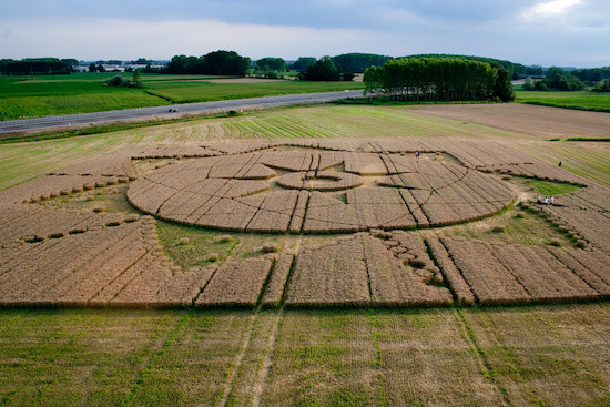 Mysterious Crop Circles: What Are Crop Circles And How Are They Made?