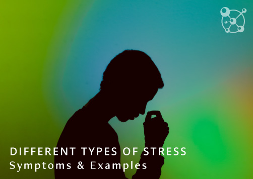 Different Types of Stress & Stressors With Symptoms & Examples