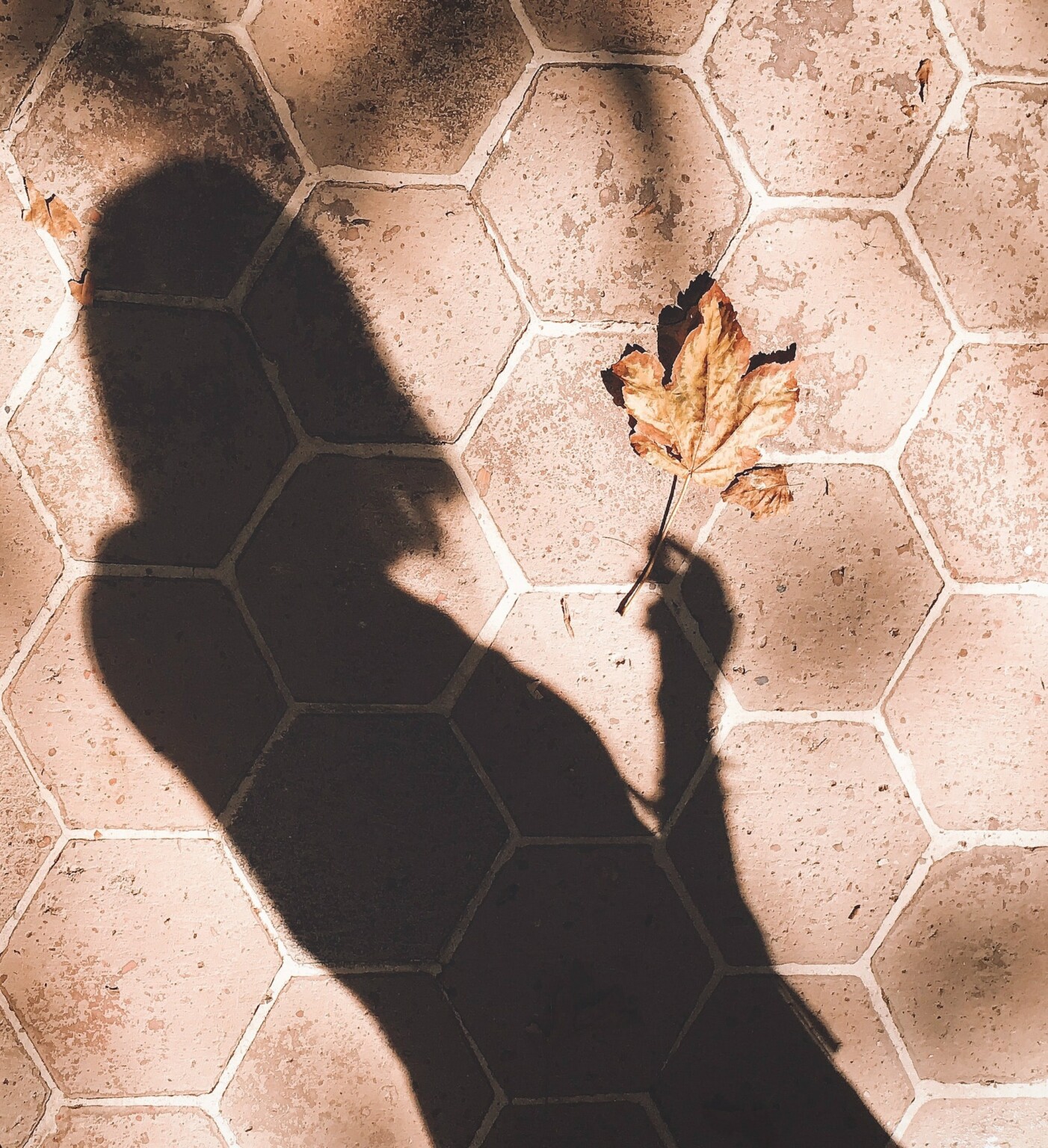 What is Shadow Work? Definition & Techniques to Begin Shadow Work