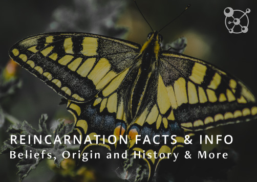 Reincarnation Facts & Info: Beliefs, Origin and History & More