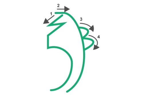 List Of All Reiki Symbols, Meanings & How To Use Their Power