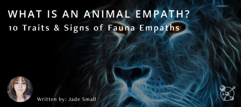 What is an Animal Empath? 10 Traits & Signs of Fauna Empaths