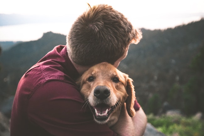 What is an Animal Empath? 10 Traits & Signs of Fauna Empaths
