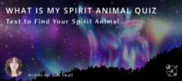 What is My Spirit Animal Quiz: Test to Find Your Spirit Animal