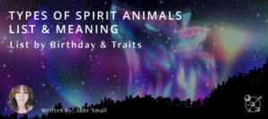 Types of Spirit Animals List & Meaning (List by Birthday & Traits)