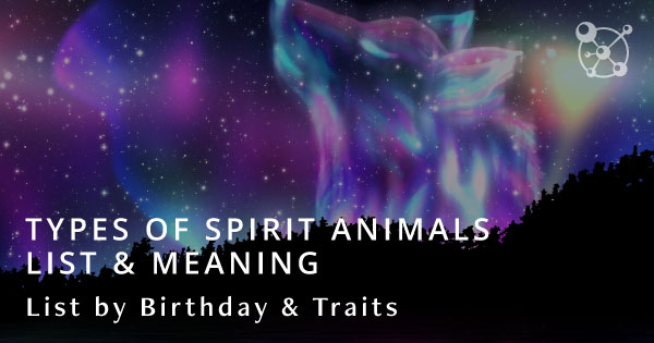 Types of Spirit Animals List & Meaning (List by Birthday & Traits)