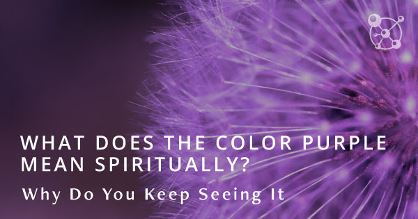 What Does the Color Purple Mean Spiritually? (& Why You Keep Seeing it)