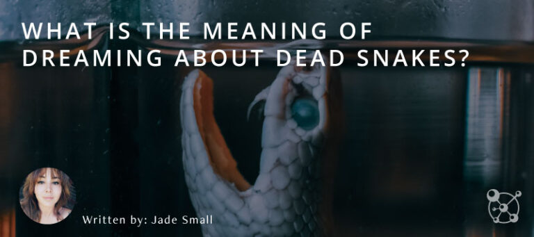 What is the Meaning of Dreaming About Dead Snakes?