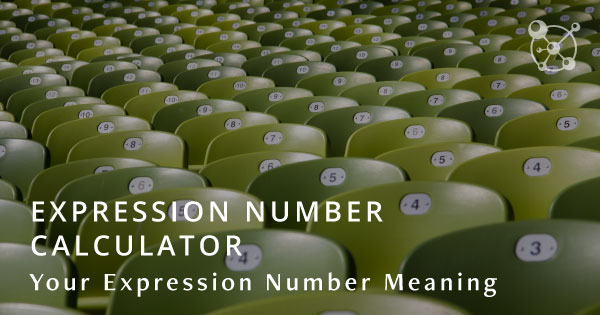 Expression Number Calculator: Your Expression Number Meaning